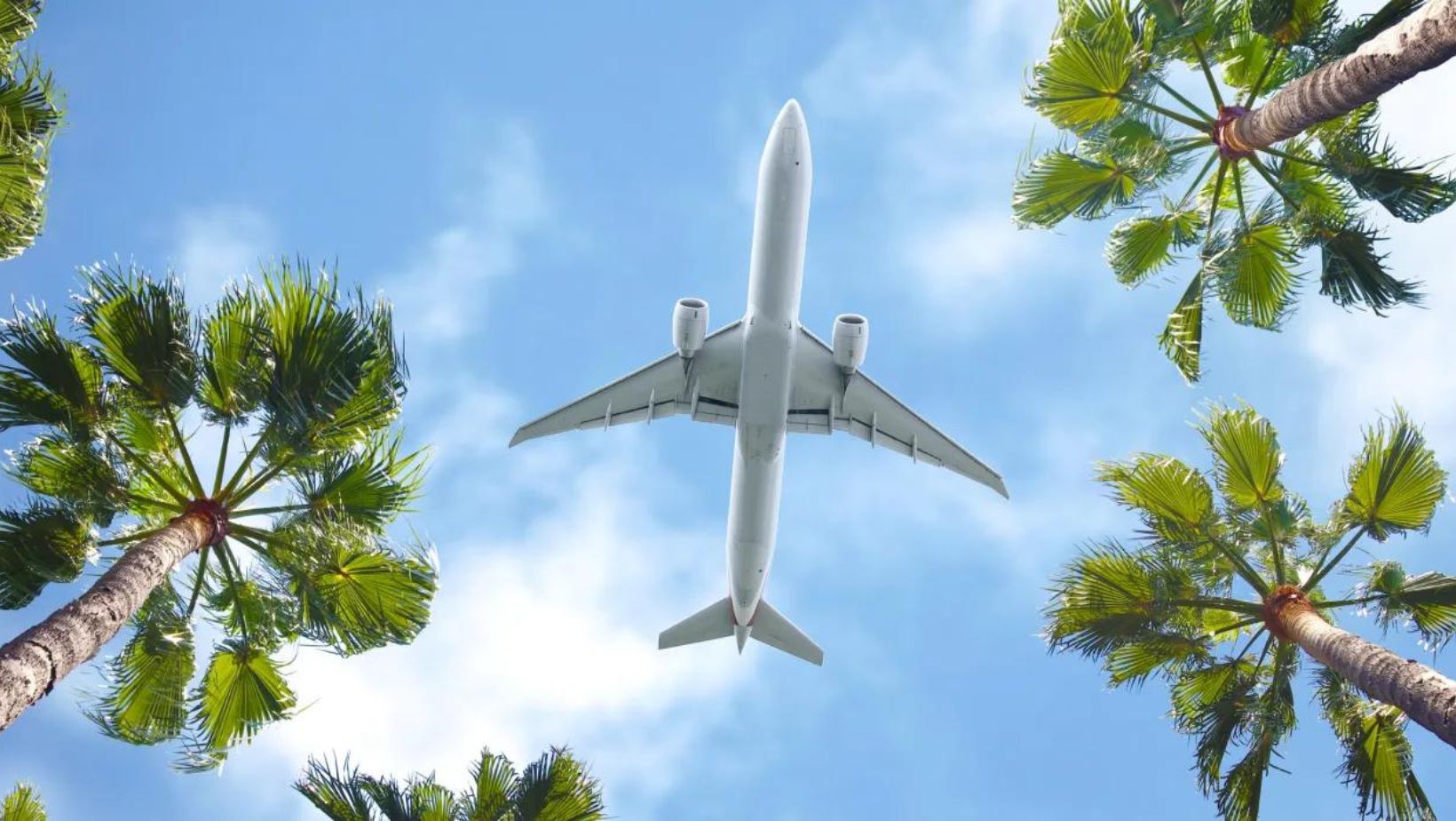 Flying This Summer? Here Are Must-Know Tips for Smooth Travels ...